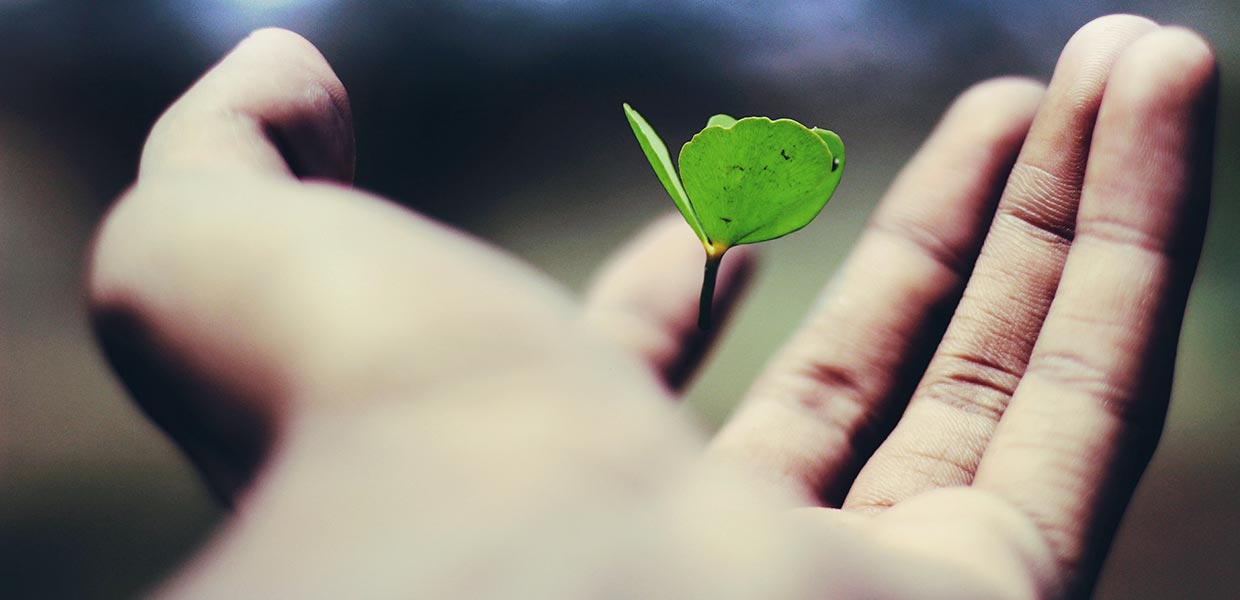 Church St. Healthcare Clinic